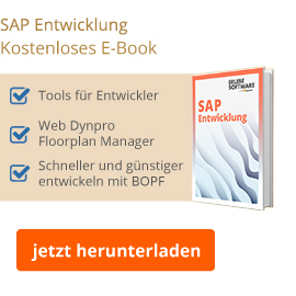 Erlebe Software - Individuelle SAP Software