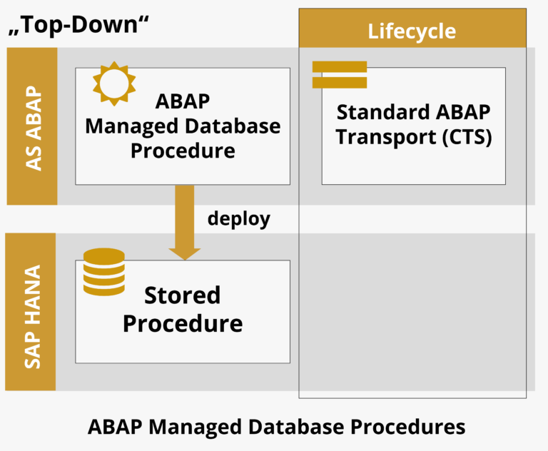 Was sind AMDP und welche Funktionen bieten sie?