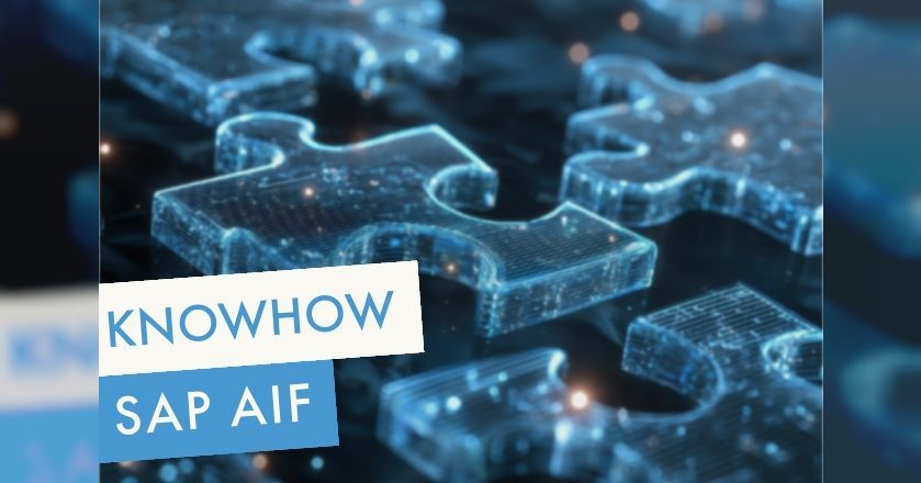 SAP AIF (Application Interface Framework) | Erlebe Software