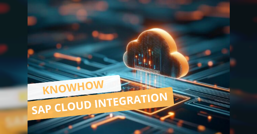 SAP Cloud Integration | Erlebe Software