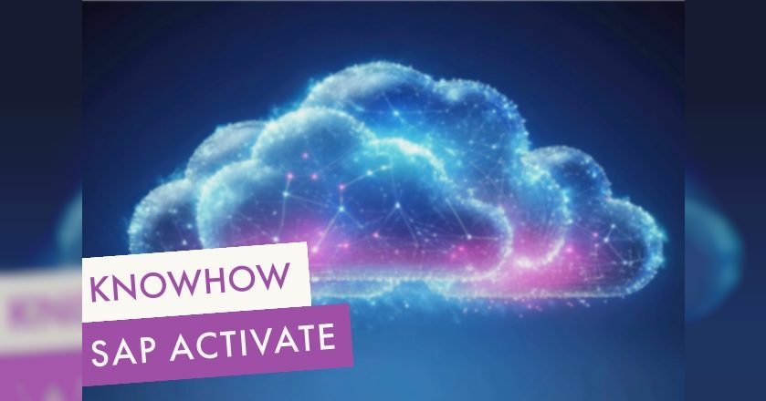 SAP Activate | Erlebe Software